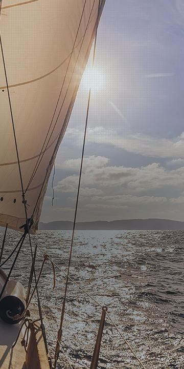 Unison Healthcare Group